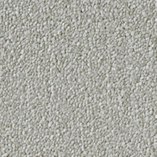 Westex Carpets Elysian Divine Velvet LIMITED TIME OFFER